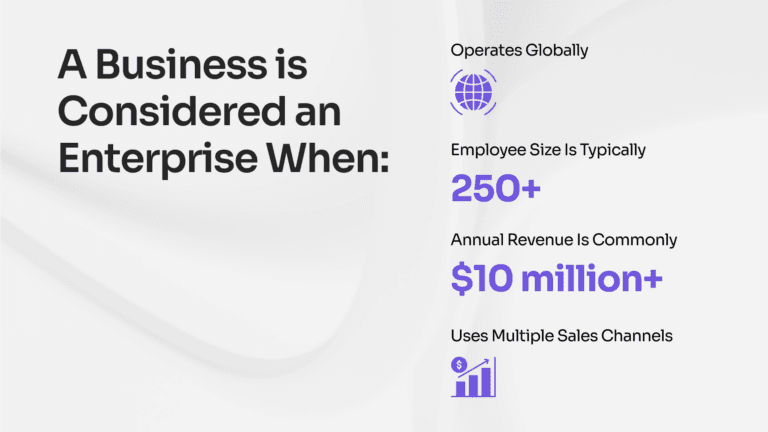 What is an Enterprise Business?