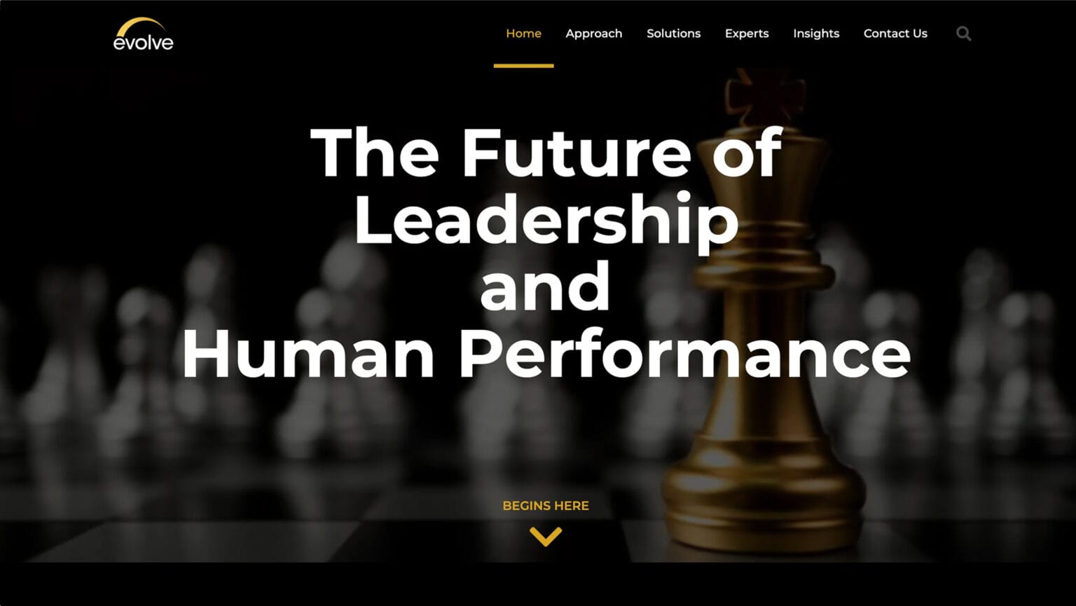 Evolve Leadership - IT Monks Agency