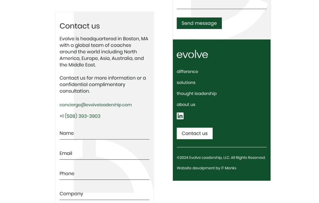 Evolve Leadership - IT Monks Agency