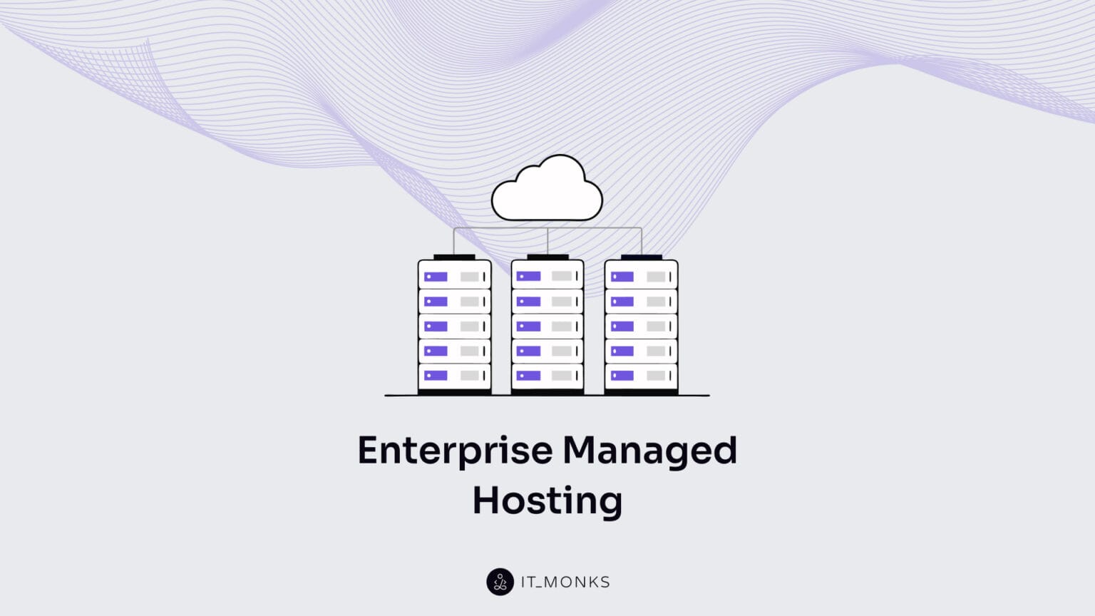 Enterprise Managed Hosting: Features & Limitations